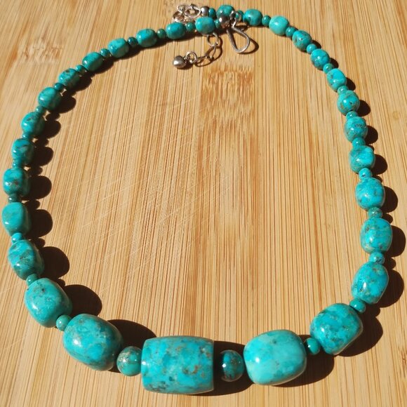 Jay King | Jewelry | Jay King Dtr Mine Finds Barrel Turquoise Necklace 925 Sterling Silver Very ...